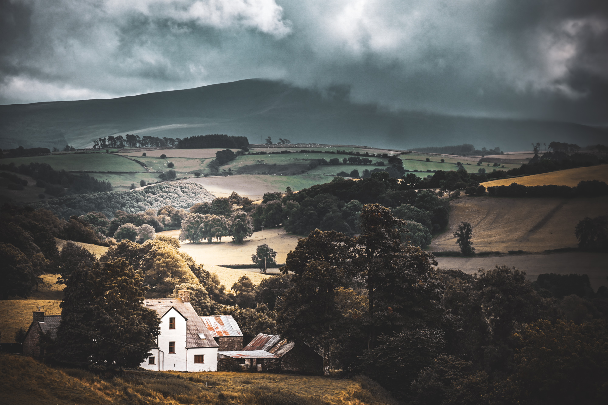 Welsh Land and Seascapes – Jonathan Green